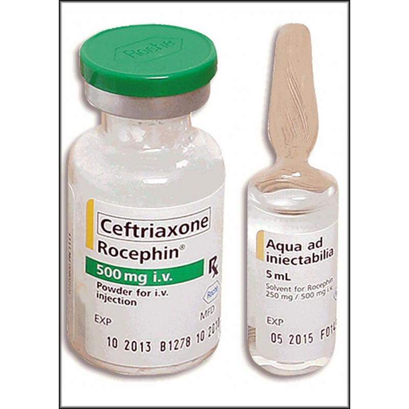 Sốc Phản vệ với Ceftriaxone – Thư Viện Y Khoa