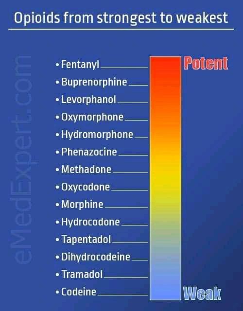 Hiểu về thuốc giảm đau opioids – Thư Viện Y Khoa